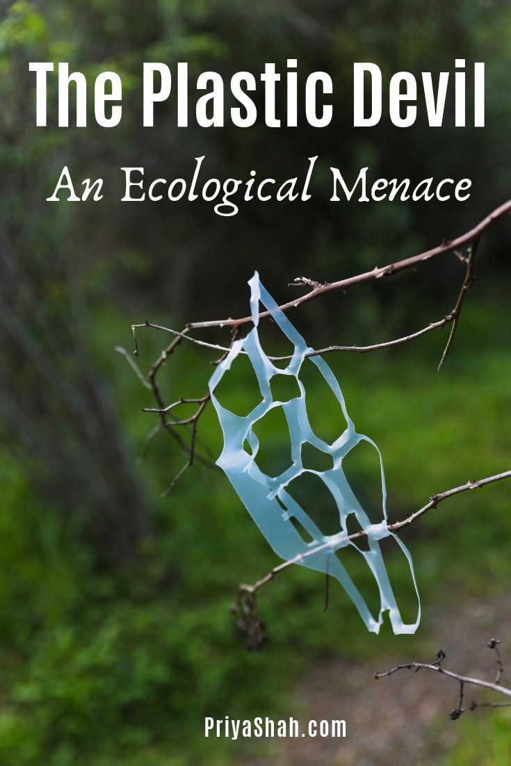 The Plastic Devil: Ecological Menace